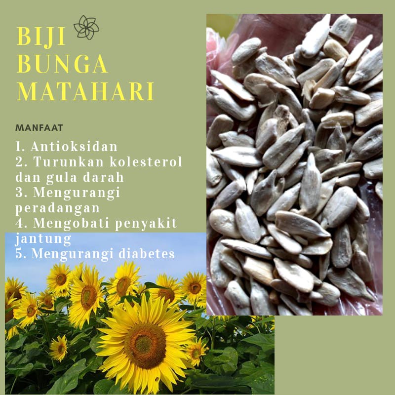 Jual Biji Bunga Matahari / Kwaci Kupas / Sunflower Seed 500 gram ...
