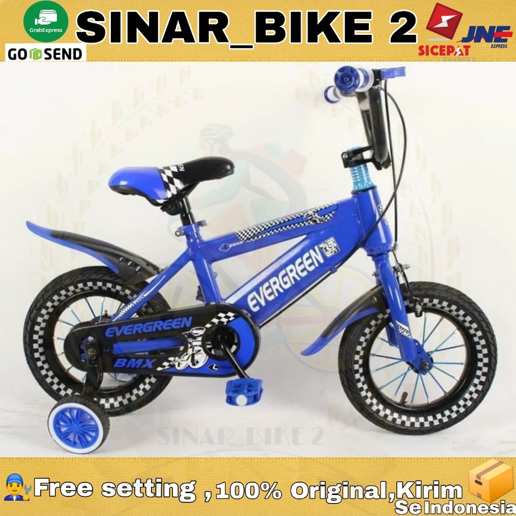 Jual Sepeda Anak Laki BMX Evergreen Logan Usia 4-6Tahun 16Inch ...