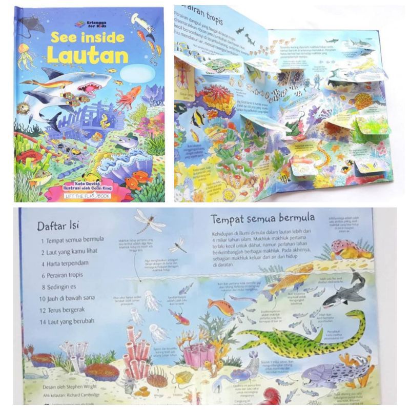 Jual ORIGINAL & BERGARANSI Buku Usborne Terjemahan See Inside Tubuhmu ...