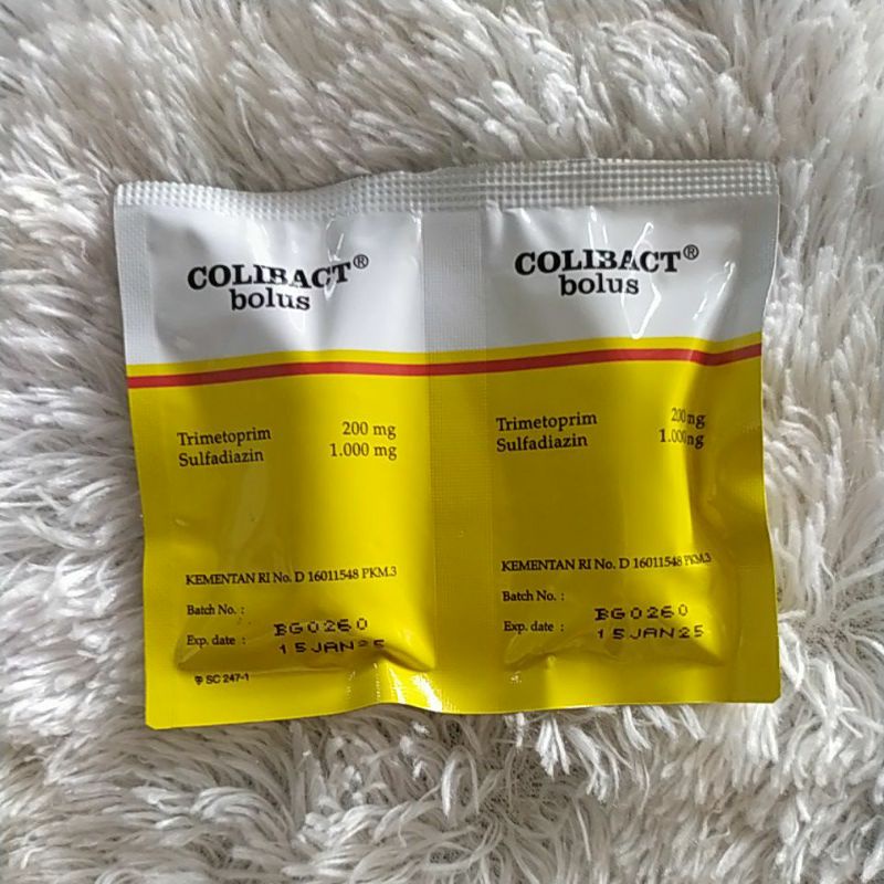 Jual Obat Mencret Hewan Sapi colibact bolus | Shopee Indonesia