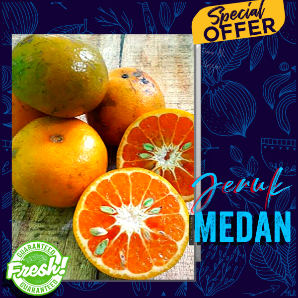 Jual JERUK MEDAN PER KG | Shopee Indonesia