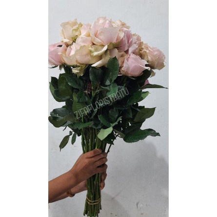 Jual bunga mawar pink soft (per tangkai) | Shopee Indonesia