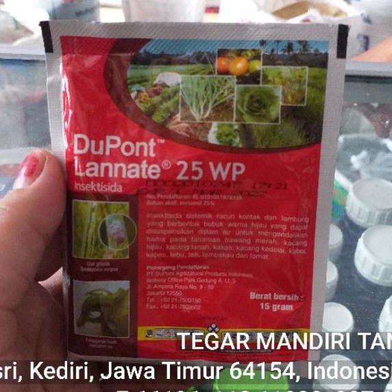 Jual INSEKTISIDA RACUN ULAT LANETE 25WP 15GRAM UNTUK 1TANGKI Lanet ...
