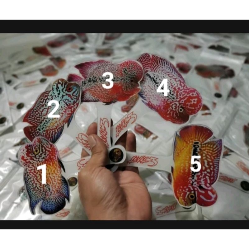 Jual Wayang Louhan Akrilik Untulan Ikan Lohan Full Aclyric Besar Tebal ...
