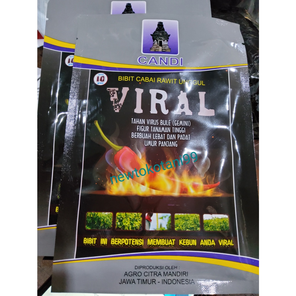 Jual TT99 Benih cabe VIRAL 10 gram cabe rawit viral 10gr dari agro ...