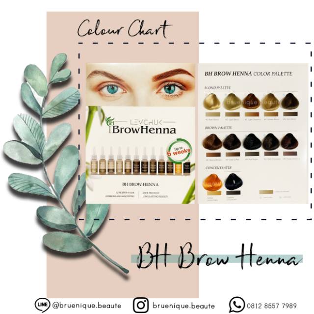 Jual Colour Chart - BH BROW HENNA by Irina Levchuk - Russia - Official ...