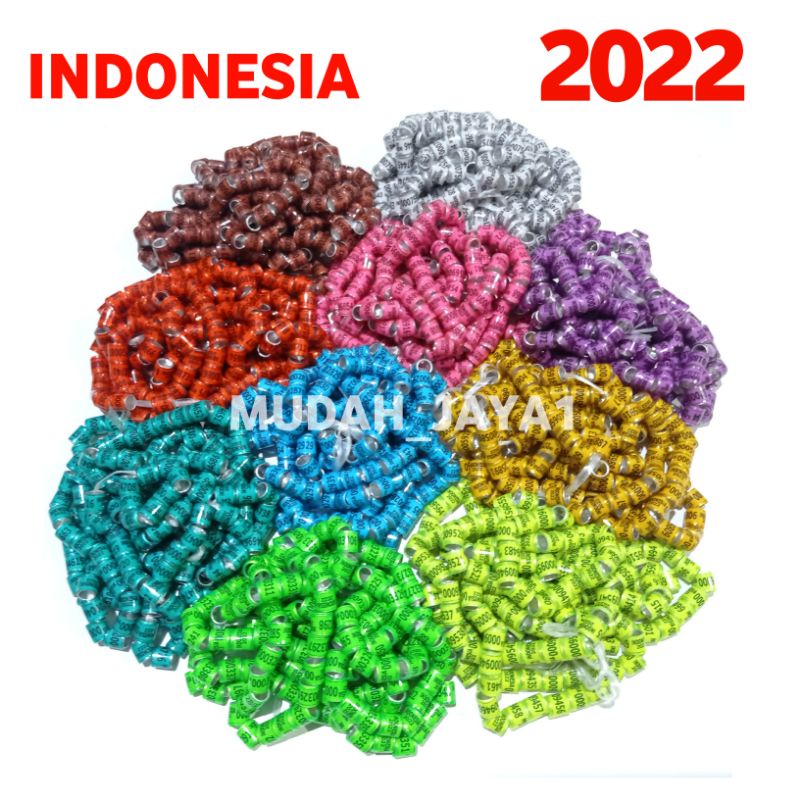 Jual RING MERPATI INDONESIA MODEL IMPORT 2022 | Shopee Indonesia