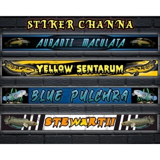 Jual Stiker Aquarium Channa Terlengkap & Harga Terbaru Juli 2024 ...