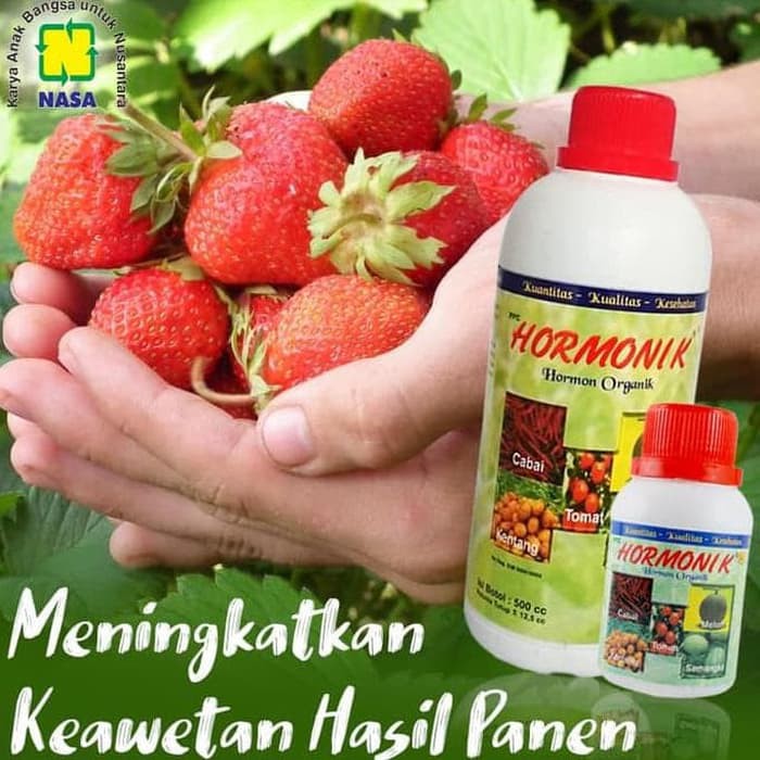 Jual Jual HORMONIK (Hormon Organik) Original Nasa , pupuk untuk ... Jual Jual HORMONIK (Hormon Organik) Original Nasa , pupuk untuk ...