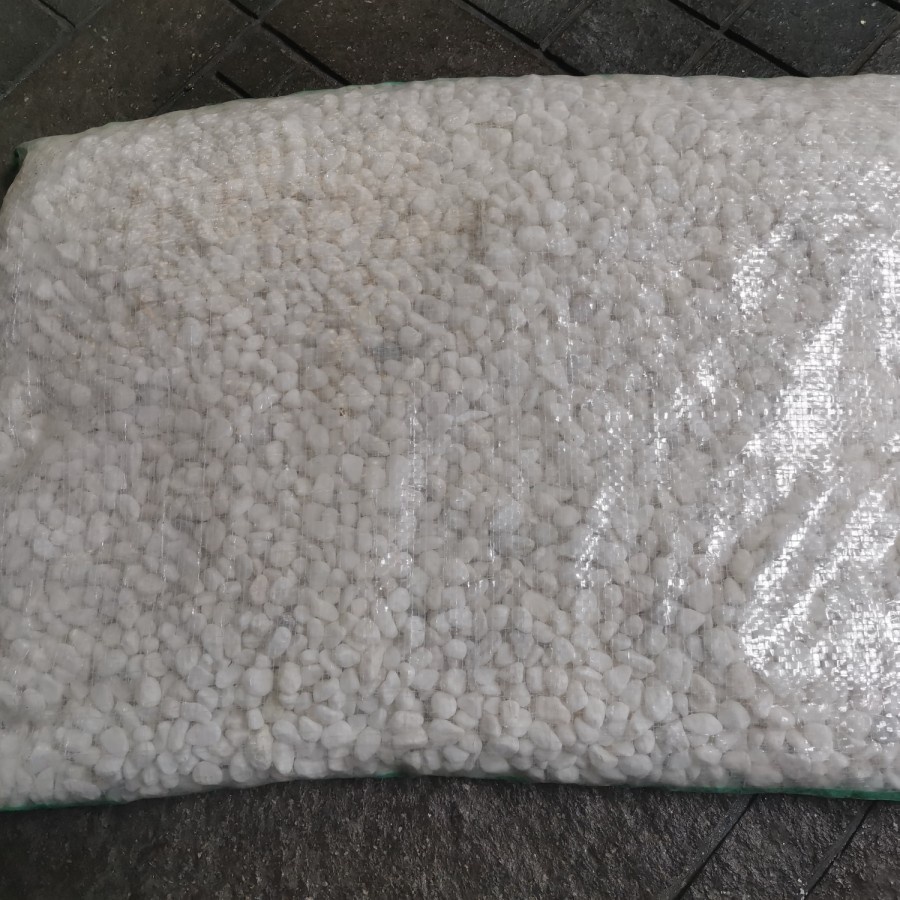 Jual Batu koral sikat tabur putih itali | Shopee Indonesia