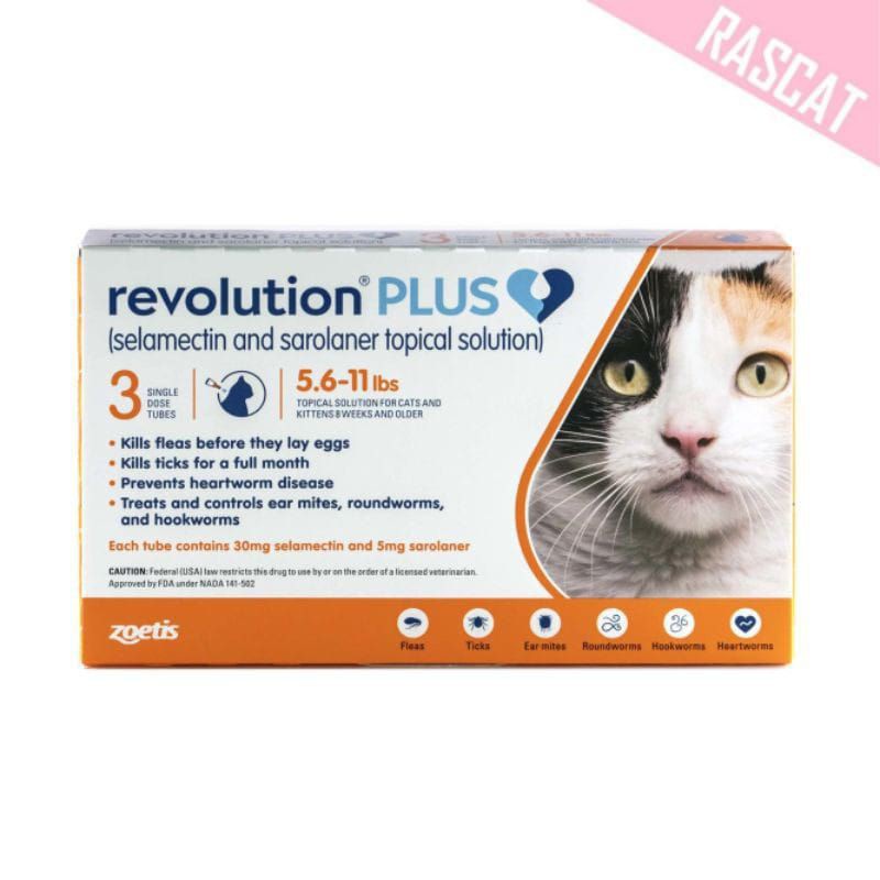 Jual Revolution Cat Plus Orange / Berat 2.5 - 5 Kg / Obat Kutu Kucing 1 ...