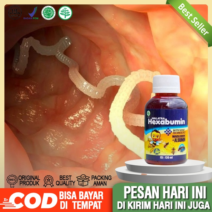 Jual Obat Cacingan Untuk Anak - Obat Cacing Untuk ANAK Usia 1 2 3 4 5 6 ...