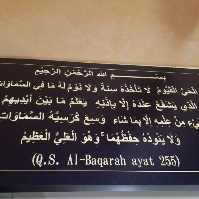 Jual produk custem big size pickbox | Shopee Indonesia