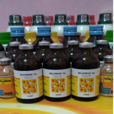 Jual Sulpidon 50 ml (obat injeksi demam, meriang, penurun panas hewan ...