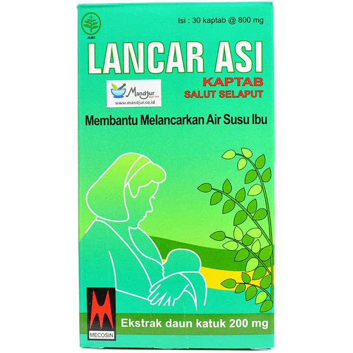 Jual TERLARIS .. LANCAR ASI - OBAT HERBAL UNTUK MENINGKATKAN ...