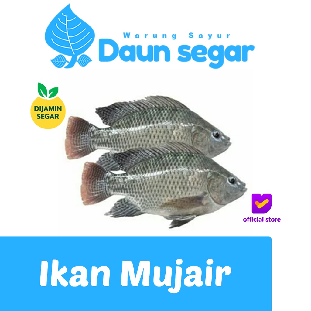 Jual Ikan Mujair Segar Fresh 1/2kg isi 2-3 ekor | Shopee Indonesia