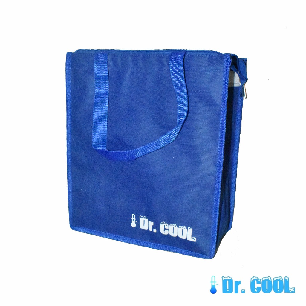 Jual Tas Belanja Aluminium Dr Cool Goody M 28x13x42cm Pendingin ...