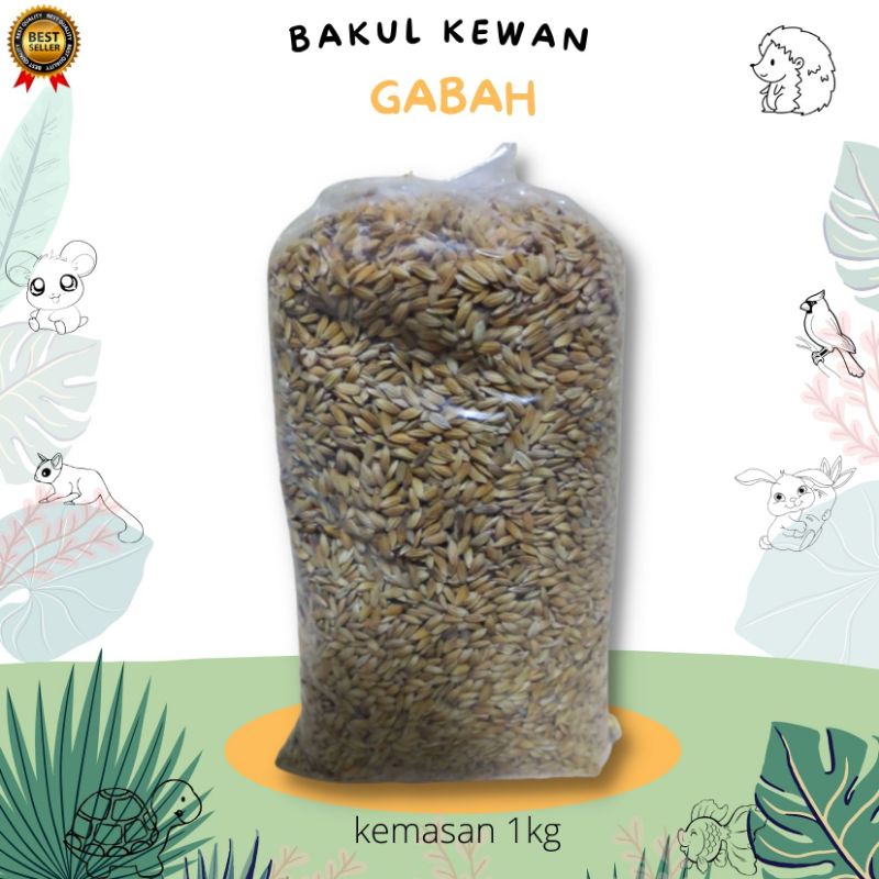 Jual gabah bangkok kemasan 1 kg | Shopee Indonesia