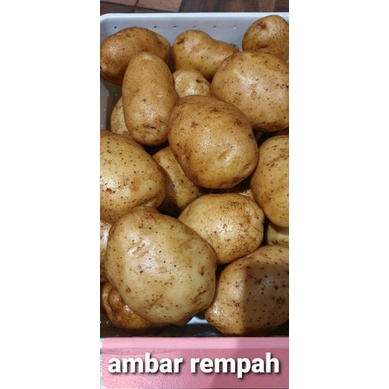 Jual Kentang dieng besar 500gram. | Shopee Indonesia