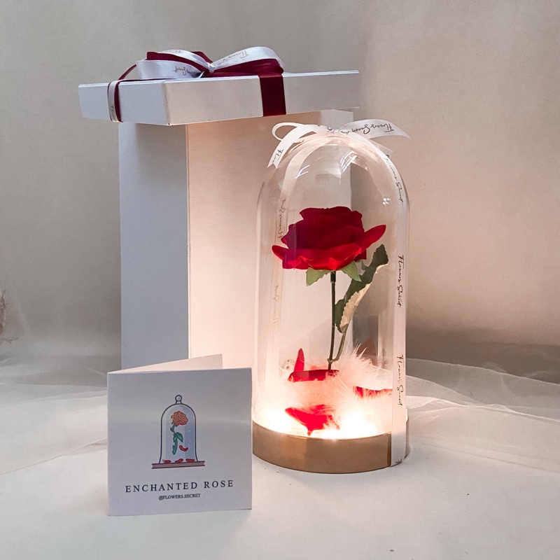 Jual Enchanted Rose (Bunga Beauty and The Beast) | Shopee Indonesia