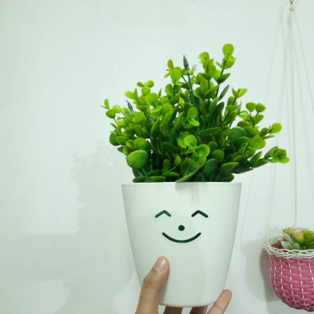 Jual BUNGA EUCALYPTUS + VAS SMILE bunga hias bunga tempel vas tempel ...