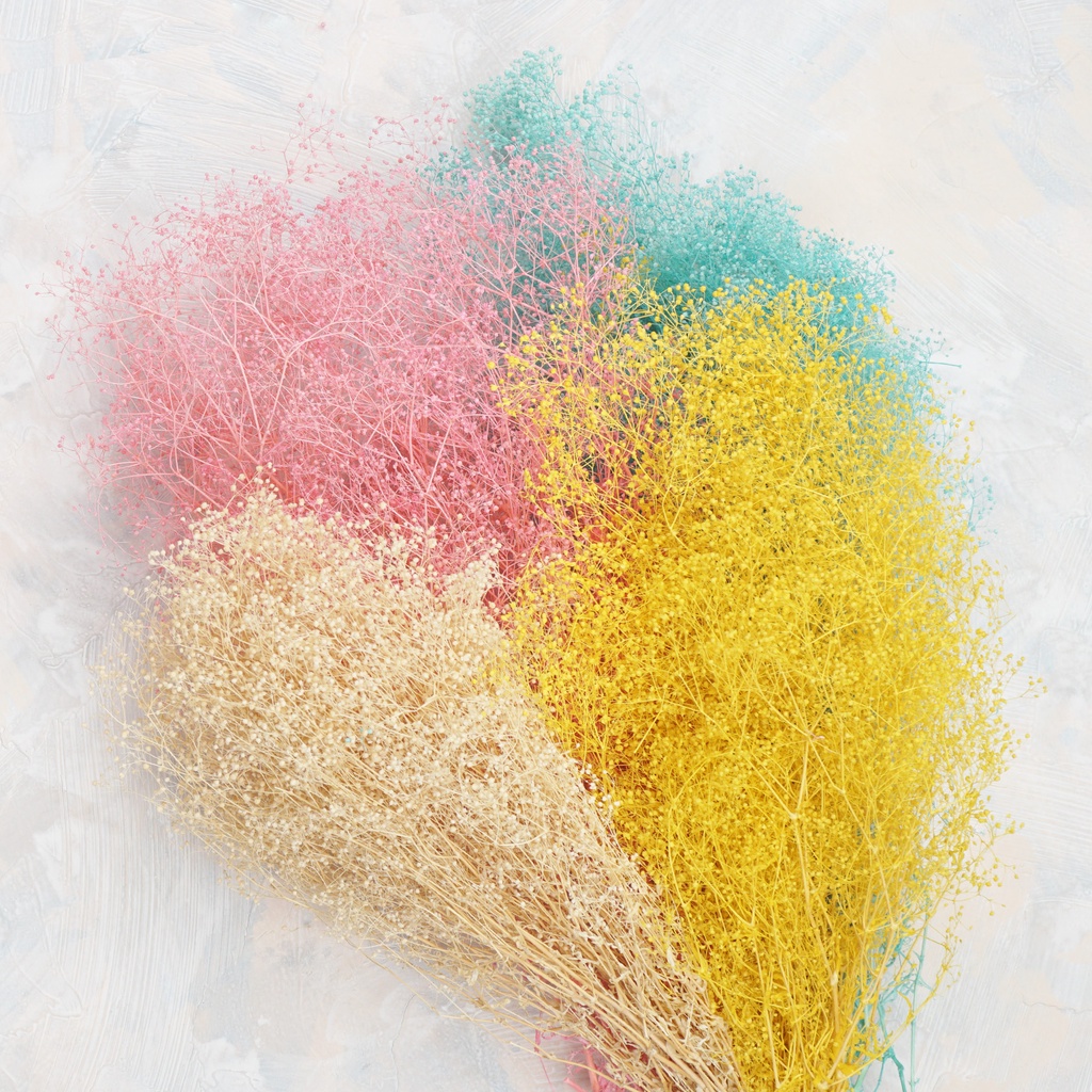Jual 5gram Bunga Preserved Flower Kering Artificial Dry Flower Awetan ...