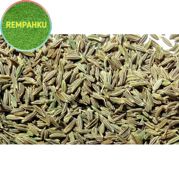 Jual ADAS JAWA/ADAS IJO KERING 500 GRAM - Foeniculum Vulgare - MURNI ...