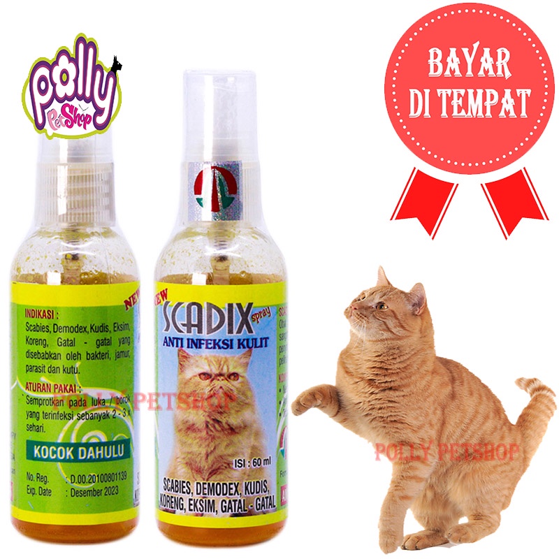 Jual OBAT JAMUR KUCING SAKIT KORENG ANAK KUCING KITTEN SCABIES GATAL ...