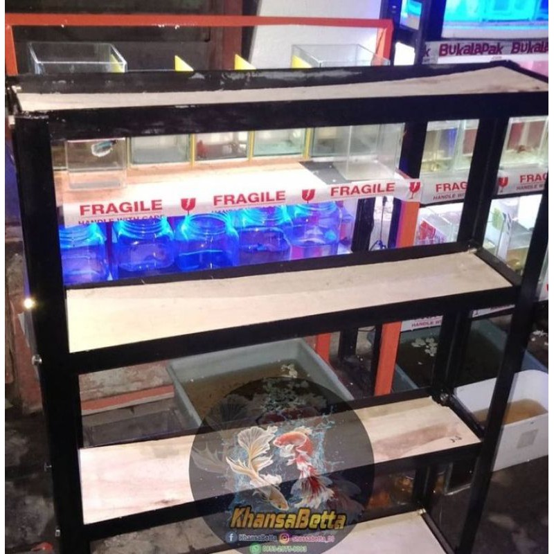Jual rak display ikan cupang | Shopee Indonesia