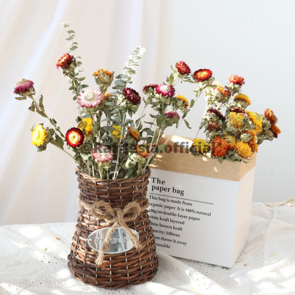 Jual Dried Flower Daisy Stem Bunga Kering Color Tangkai Hias Dekor ...