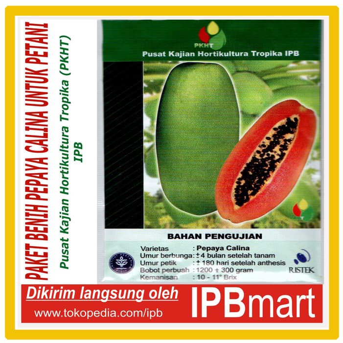 Jual Benih Pepaya Calina IPB (California) -- TANAMAN -- BUAH ...