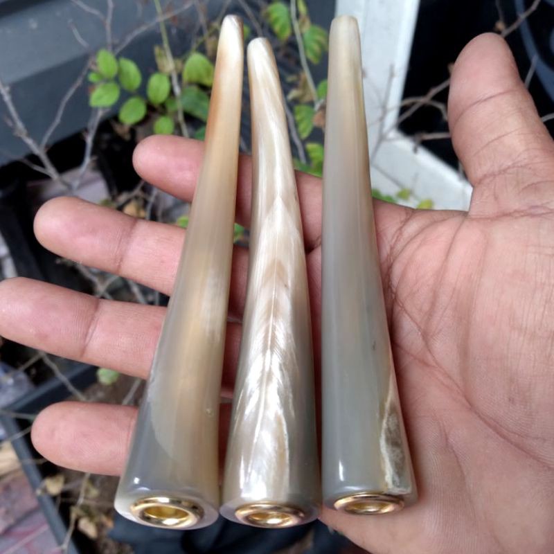 Jual Pipa Once Tanduk Bule Kerbau | Shopee Indonesia