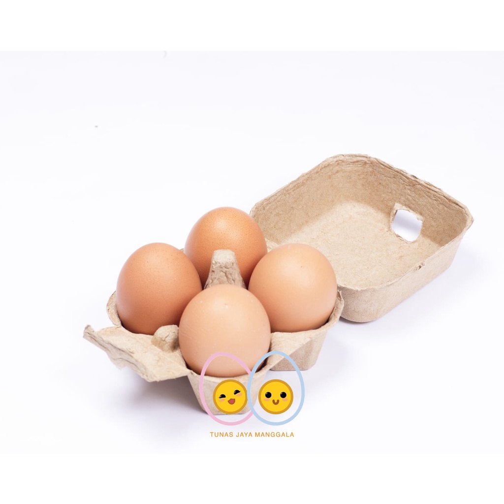 Jual Paper egg 4 lubang/tray egg box 4 lubang | Shopee Indonesia