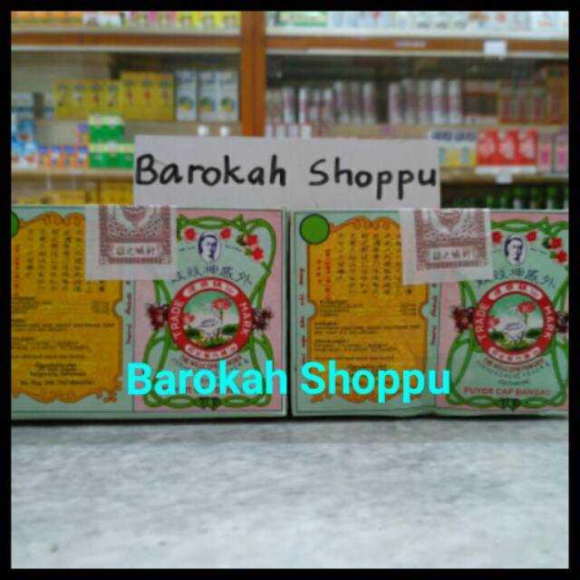 Jual Obat demam Meriang Herbal China Puyer cap bangau | Shopee Indonesia