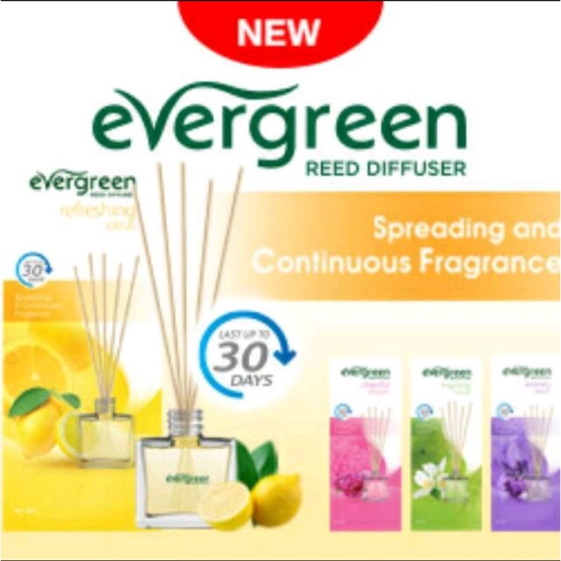 Jual Evergreen Reed Diffuser 30ml Set / Refill (Pengharum Ruangan ...