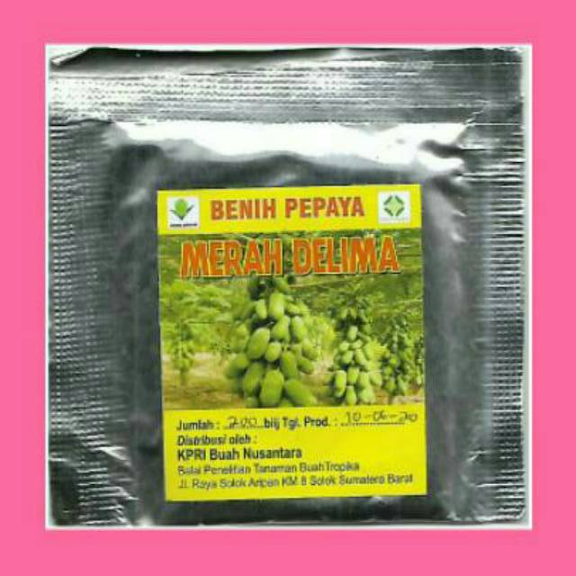 Jual Biji benih pepaya merah delima (isi 200 butir) | Shopee Indonesia