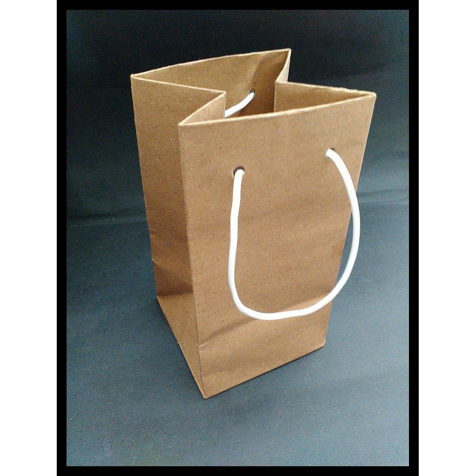 Jual Tas Kertas Karton 9X9X15 Paper Bag Kemasan Souvenir | Shopee Indonesia