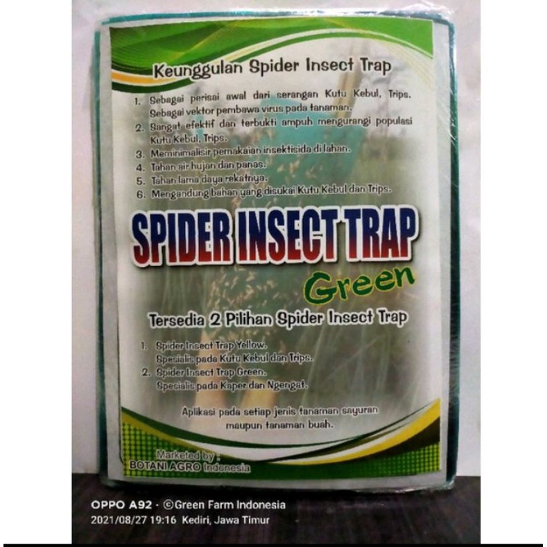 Jual new year 1.1 Spider Insect Trap Green 100 Lembar Perangkap Kutu ...