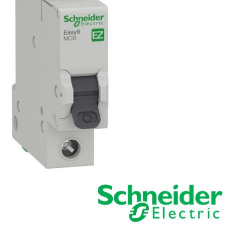 Jual Schneider MCB 1P 2A Easy9 EZ9F34102 4,5kA MCB 1 Phase 2 Amp | Shopee Indonesia