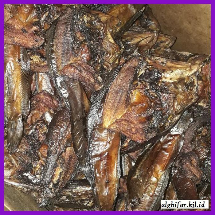Jual Makanan-Kering- Ikan Sale/Lele Asap -Aneka. | Shopee Indonesia Jual Makanan-Kering- Ikan Sale/Lele Asap -Aneka. | Shopee Indonesia