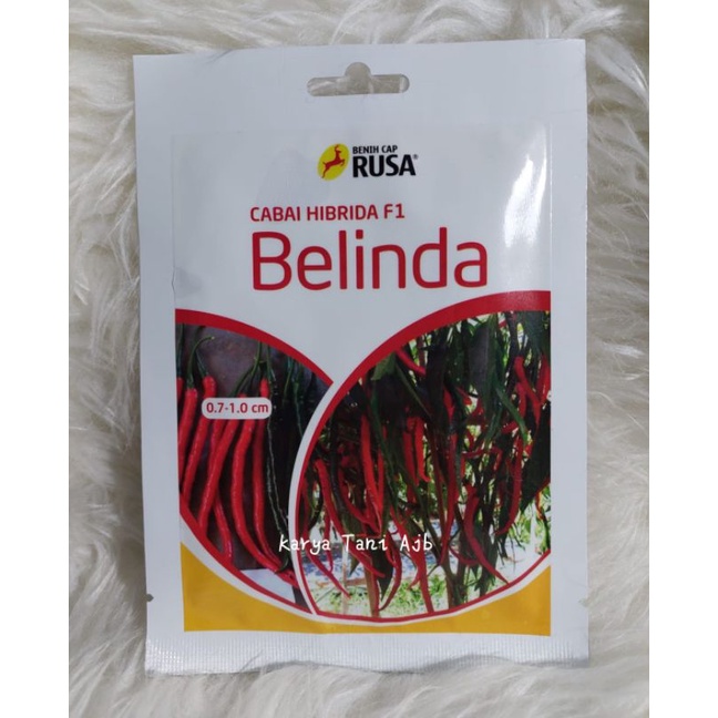 Jual Benih Bibit Cabe Hibrida F1 Belinda Cap RUSA 10gr (Exp Okt 2022 ...