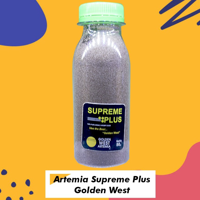 Jual Artemia Golden Supreme Plus (50gram) | Shopee Indonesia