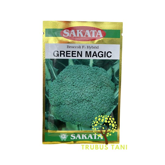 Jual BENIH Brokoli Green Magic F1 2000 biji | Shopee Indonesia