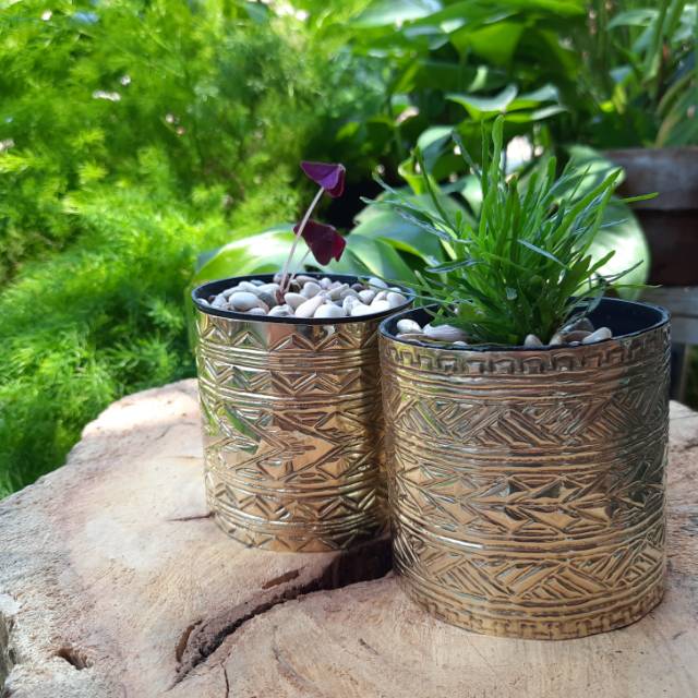 Jual Pot unik tanaman hias mini | Shopee Indonesia