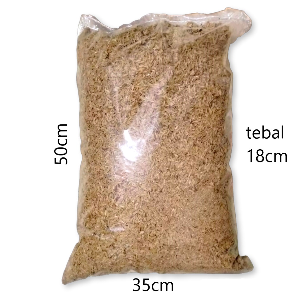 Jual Sekam Mentah Kulit Padi Sekam Padi Sekam Murni Untuk Media Tanam ...