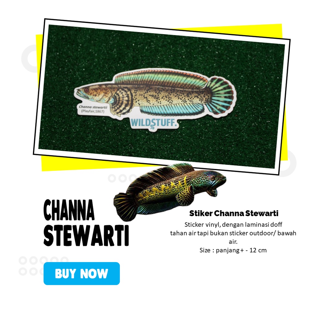 Jual Sticker Channa Stewarti | Shopee Indonesia