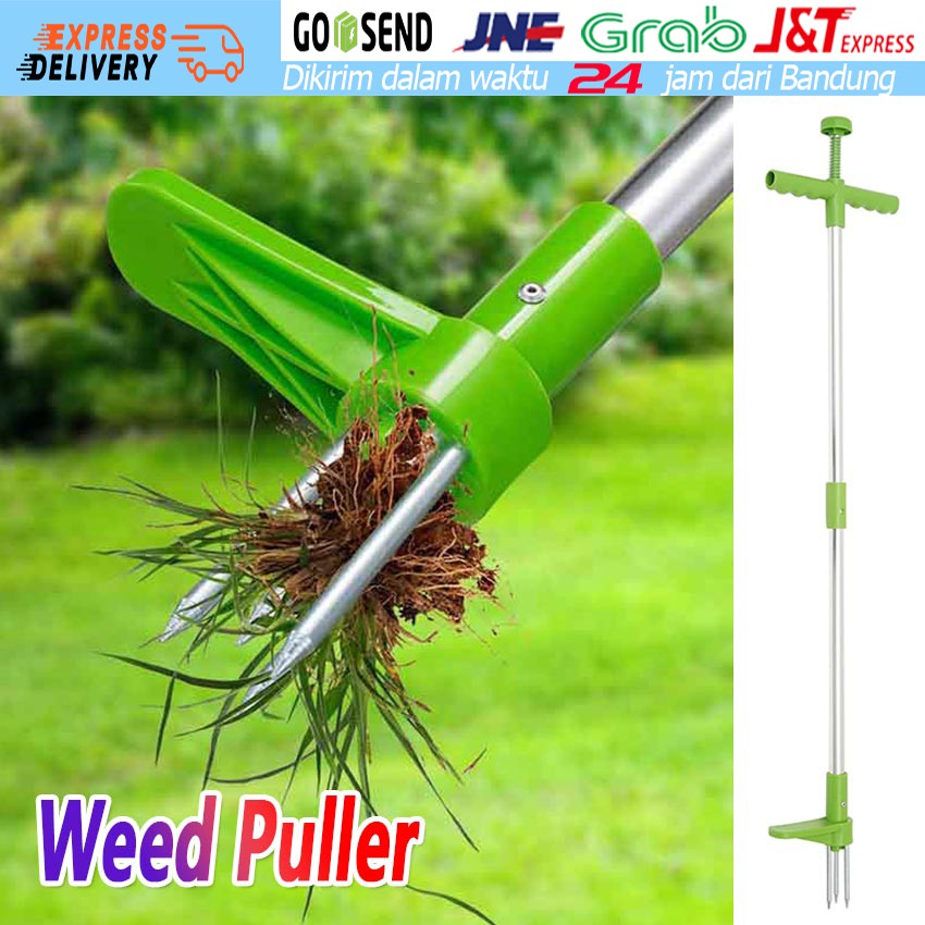 Jual Alat Pencabut Rumput/Akar Tanaman Liar Manual Multifungsi Stand ...