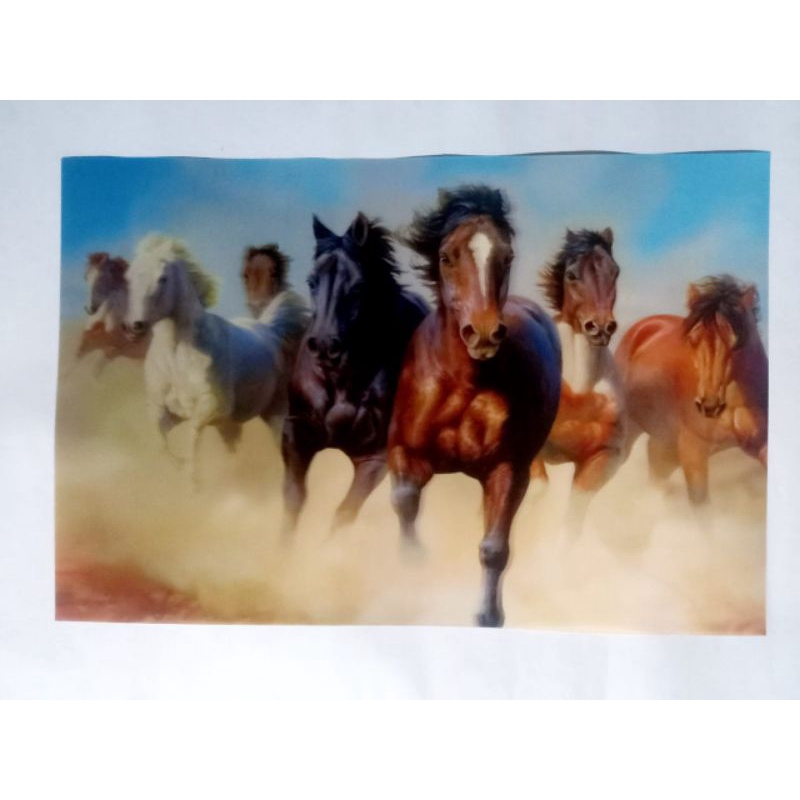 Jual POSTER KUDA 3 DIMENSI UKURAN 58X38 cm (terlihat hidup dan nyata ...