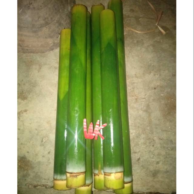 Jual Bulu Nasi Jaha / Bambu Lemang Per 10 Pcs | Shopee Indonesia