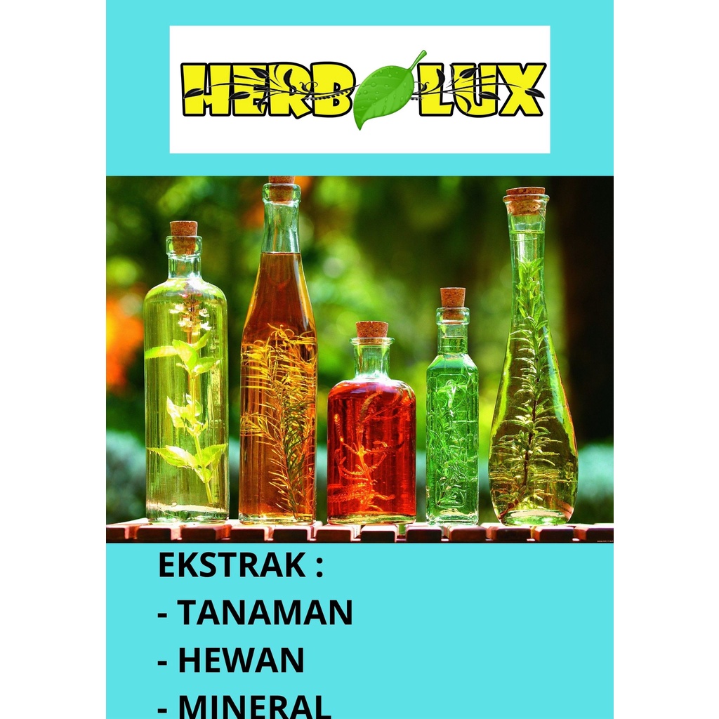 Jual Ekstrak Lidah Mertua Fraksinasi 5 gram dan 10 gram Best Quality ...